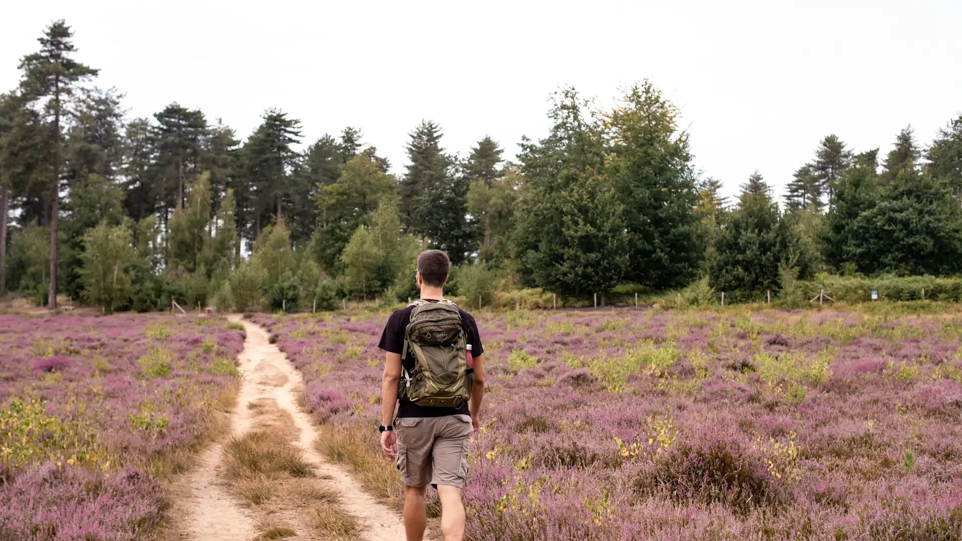 Randonnée à Averbode Bos & Heide